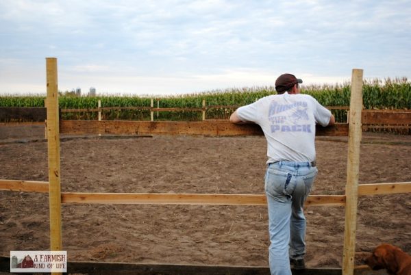 How to Build a Round Pen for Next to Nothing | This Unruly