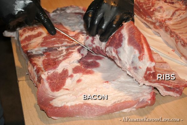 How to Make Cuts of Meat: Butchering a Pig at Home - A Farmish Kind of Life