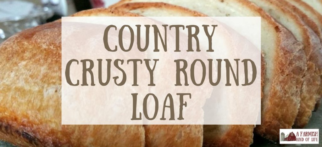 Crusty Round Loaf: Simple and Delicious - A Farmish Kind of Life