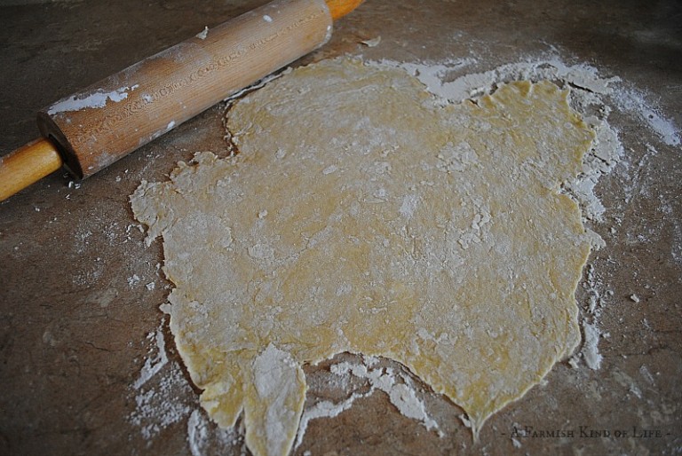 Easy Homemade Noodles From Scratch - A Farmish Kind of Life