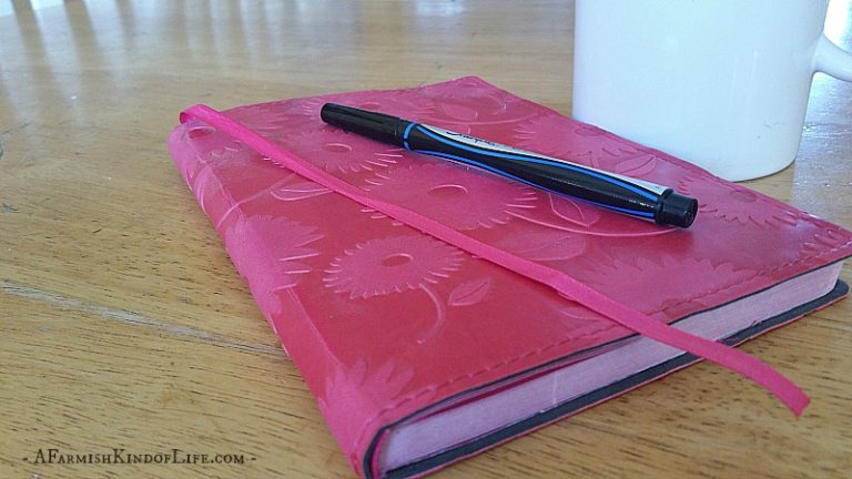 Why You Should Keep a Farm Journal - A Farmish Kind of Life