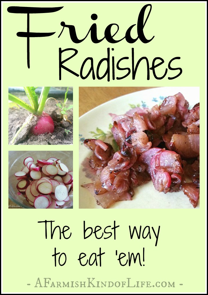 Fried Radishes: The Best Way To Eat 'Em - A Farmish Kind of Life