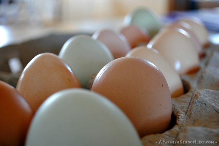Why We Are Homesteaders: 28 Reasons to Homestead - A Farmish Kind of Life