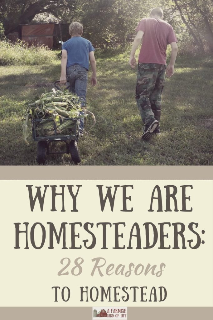 Why We Are Homesteaders: 28 Reasons to Homestead - A Farmish Kind of Life