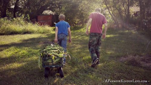 Why We Are Homesteaders: 28 Reasons to Homestead - A Farmish Kind of Life
