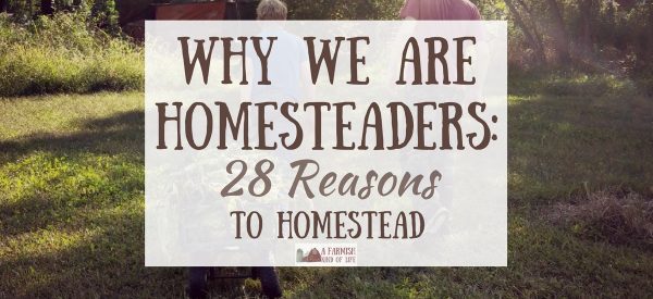 Why We Are Homesteaders: 28 Reasons to Homestead - A Farmish Kind of Life