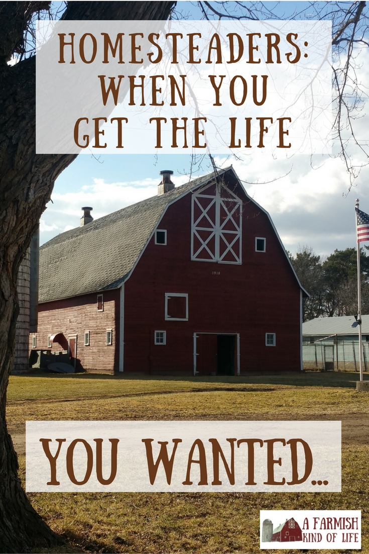 When You Get the Homestead Life You Wanted - A Farmish Kind of Life