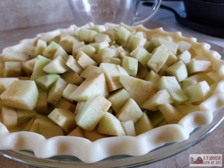 French Apple Pie - A Farmish Kind of Life