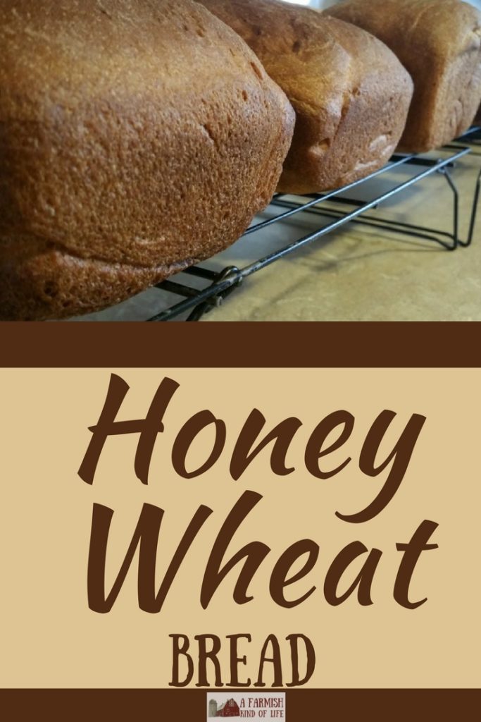 Honey Wheat Bread: Perfect for Sandwiches - A Farmish Kind of Life