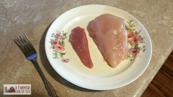 Cornish Cross vs. Red Rangers: Our Meat Bird Experiment - A Farmish ...