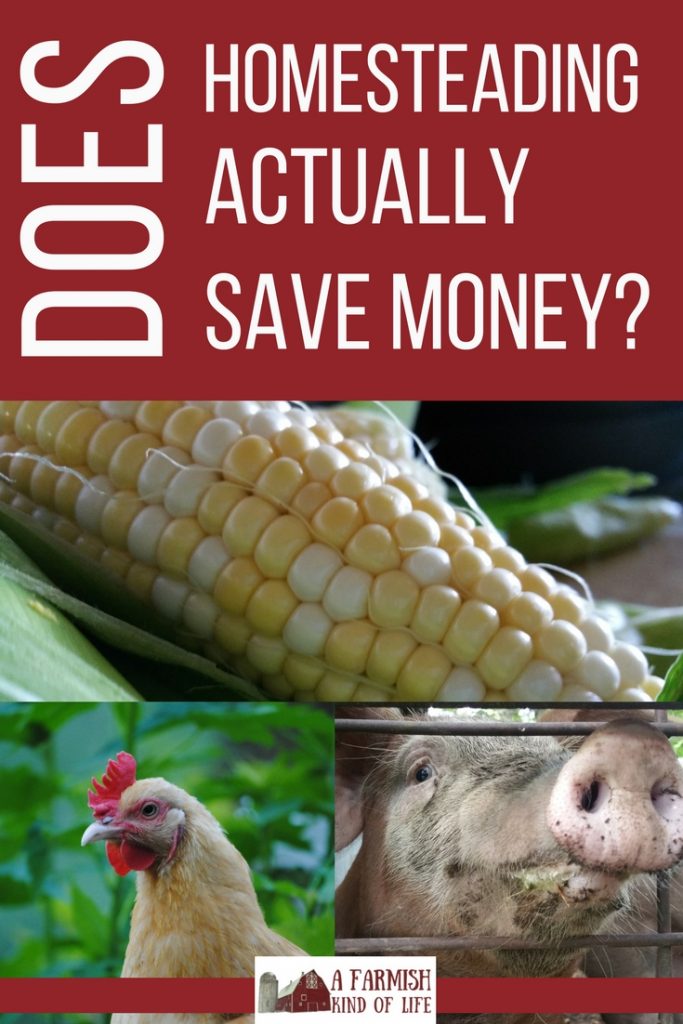 Homestead Costs: Does Homesteading Save Money? - A Farmish Kind of Life