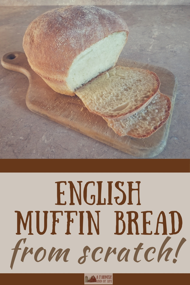 English Muffin Bread From Scratch - A Farmish Kind of Life