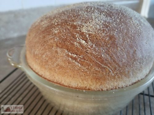 English Muffin Bread From Scratch - A Farmish Kind of Life