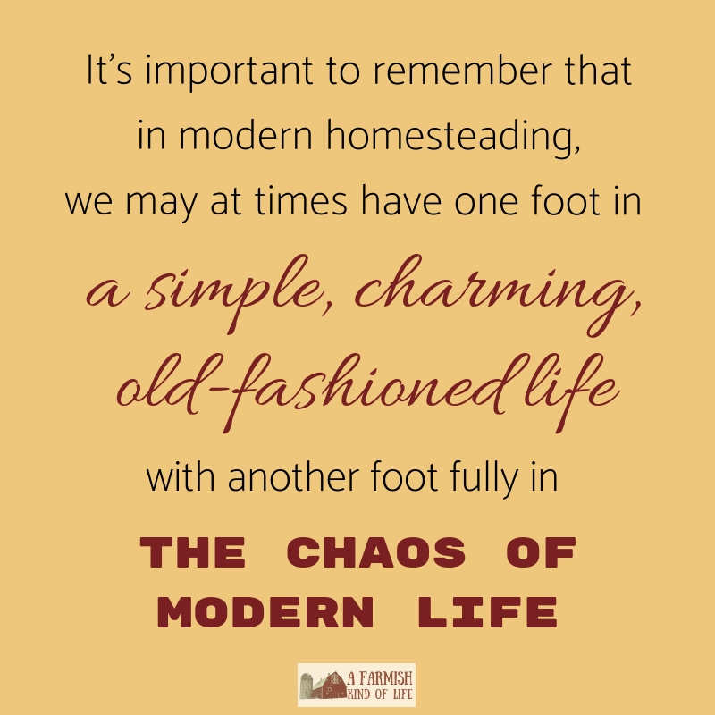 5 Common Homesteading Mistakes to Avoid - A Farmish Kind of Life