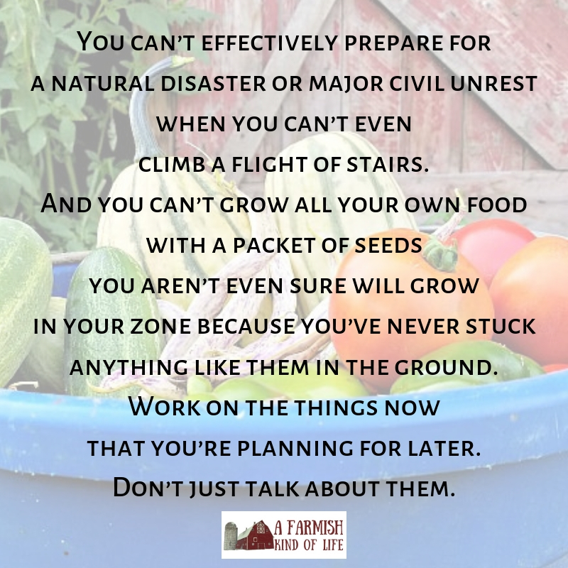 Dear homesteaders and preppers: get real - A Farmish Kind of Life