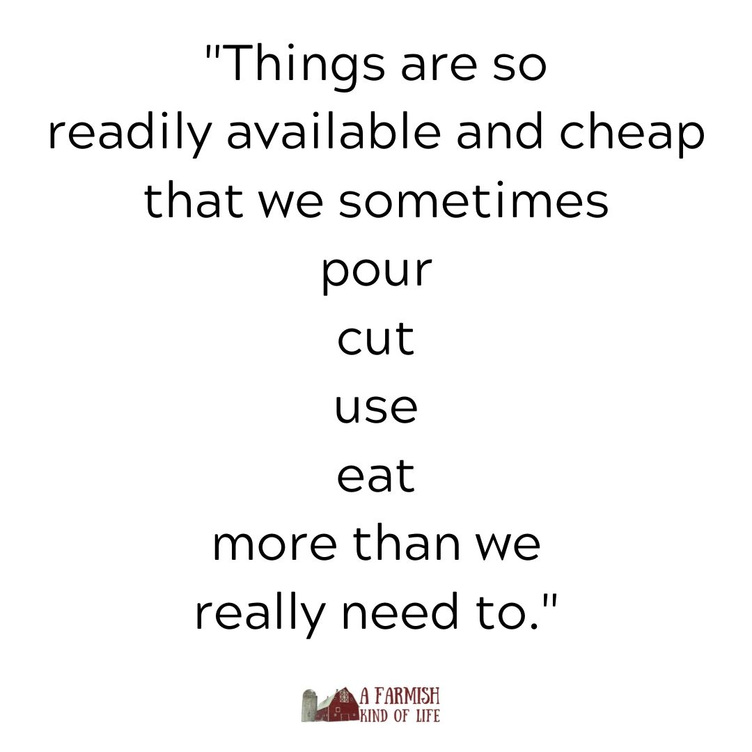 74: Use less stuff - how to do it, why it's hard - A Farmish Kind of Life