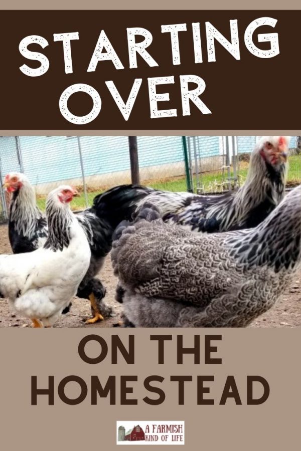 76: Starting Over on the Homestead - A Farmish Kind of Life