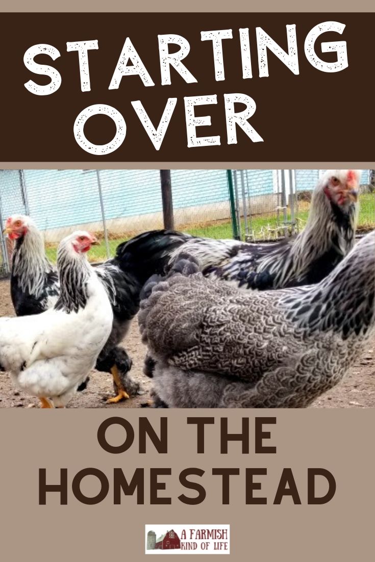 76: Starting Over on the Homestead - A Farmish Kind of Life