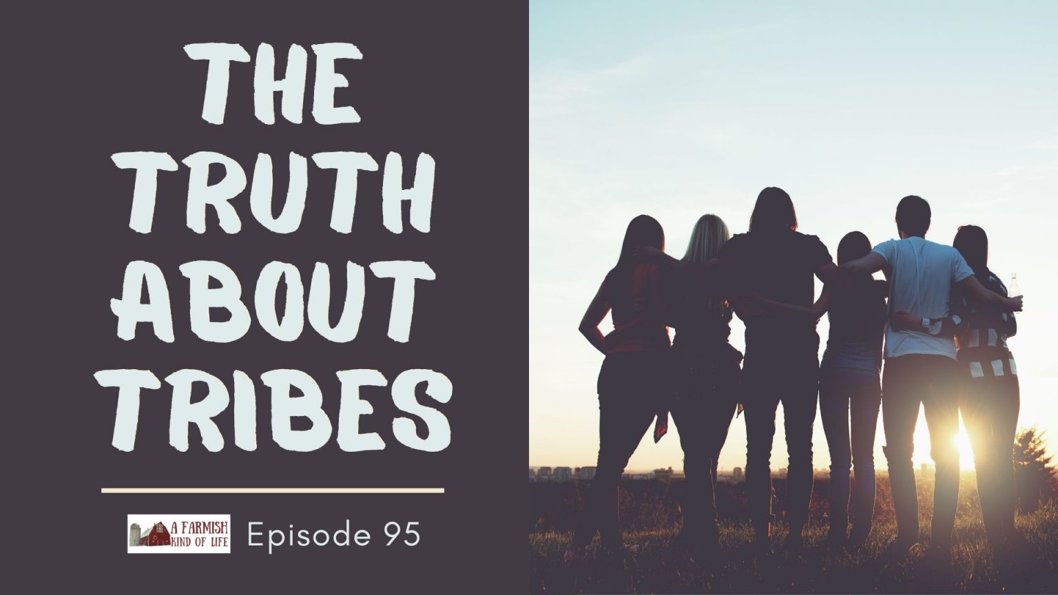 95: The truth about tribes, support systems, and friends - A Farmish ...