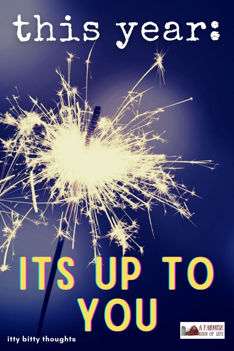 this year (itty bitty thoughts) - A Farmish Kind of Life