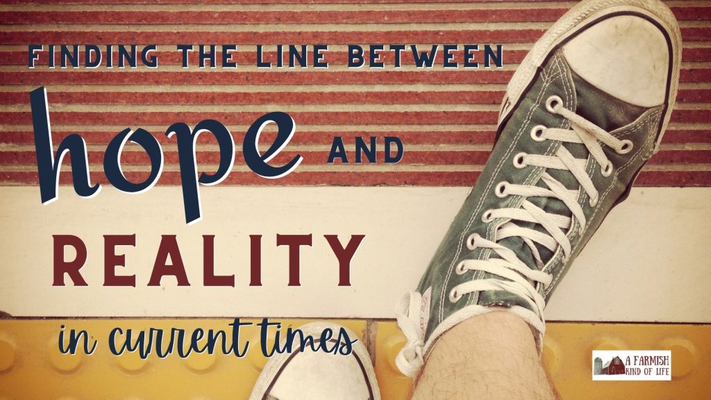 173: The line between hope and reality - A Farmish Kind of Life