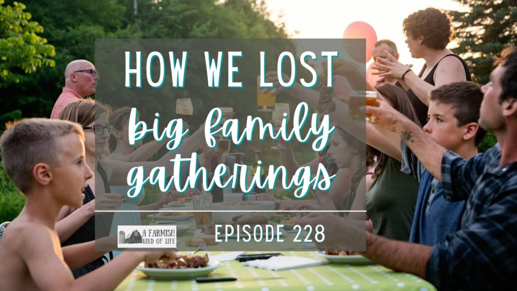 228: How we lost big family gatherings - A Farmish Kind of Life