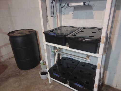 Simple DIY Hydroponic Garden Set-Up - A Farmish Kind of Life