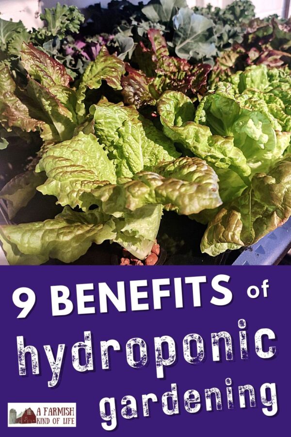 9 Benefits of Hydroponic Gardening - A Farmish Kind of Life