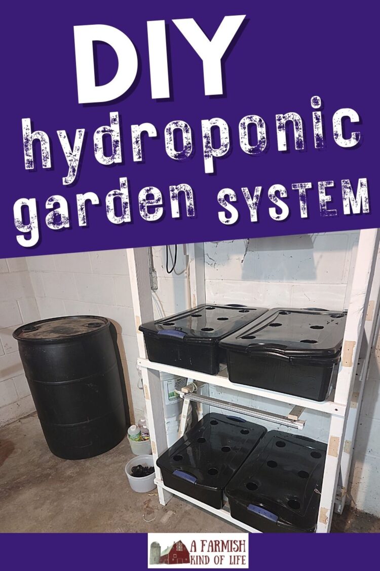 Simple DIY Hydroponic Garden Set-Up - A Farmish Kind of Life