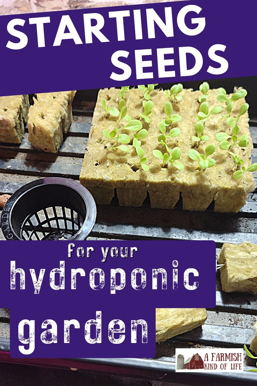 Starting Seeds for Your Hydroponic Garden - A Farmish Kind of Life