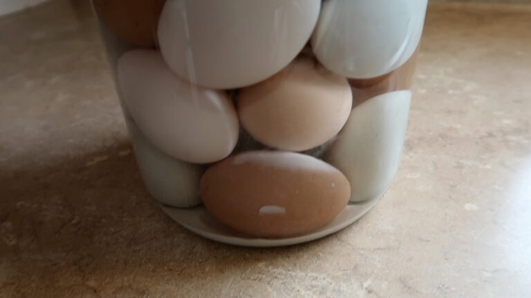 Preserve eggs by water glassing - A Farmish Kind of Life