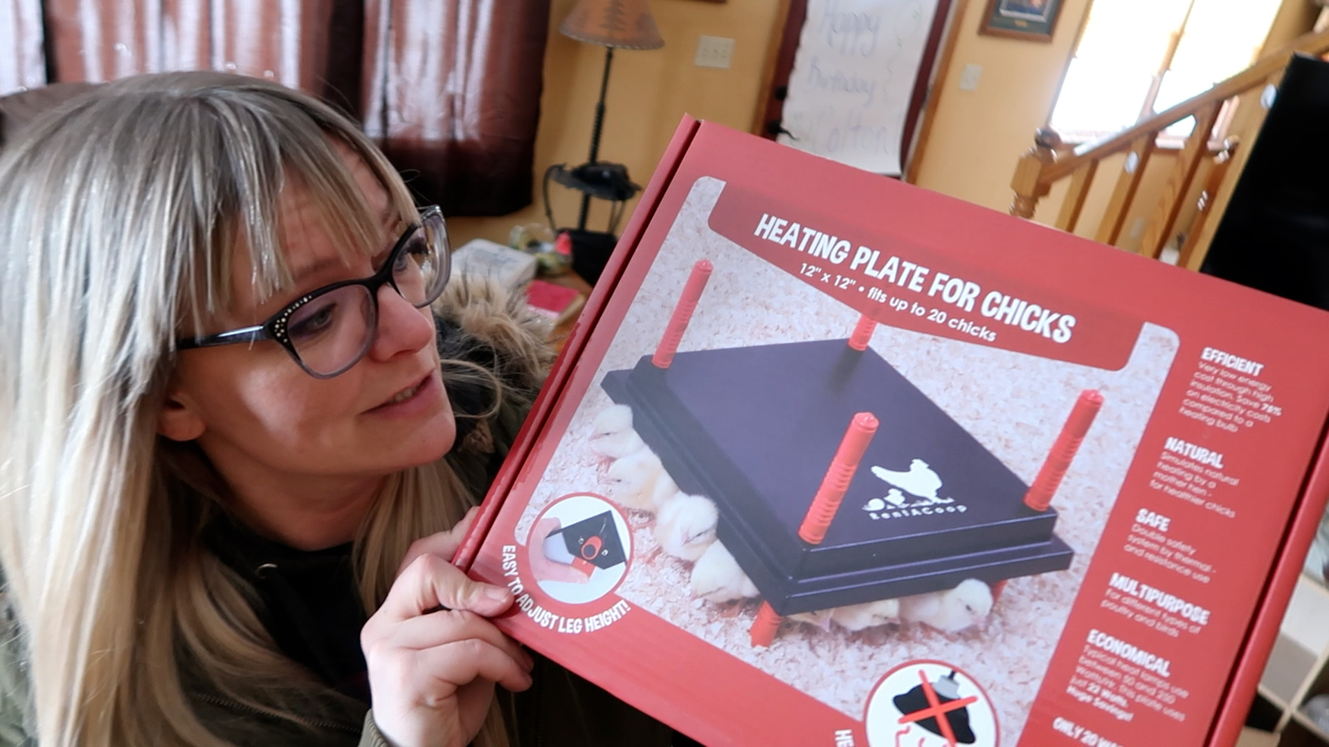 Pros and Cons of a Chick Brooder Heat Plate - A Farmish Kind of Life