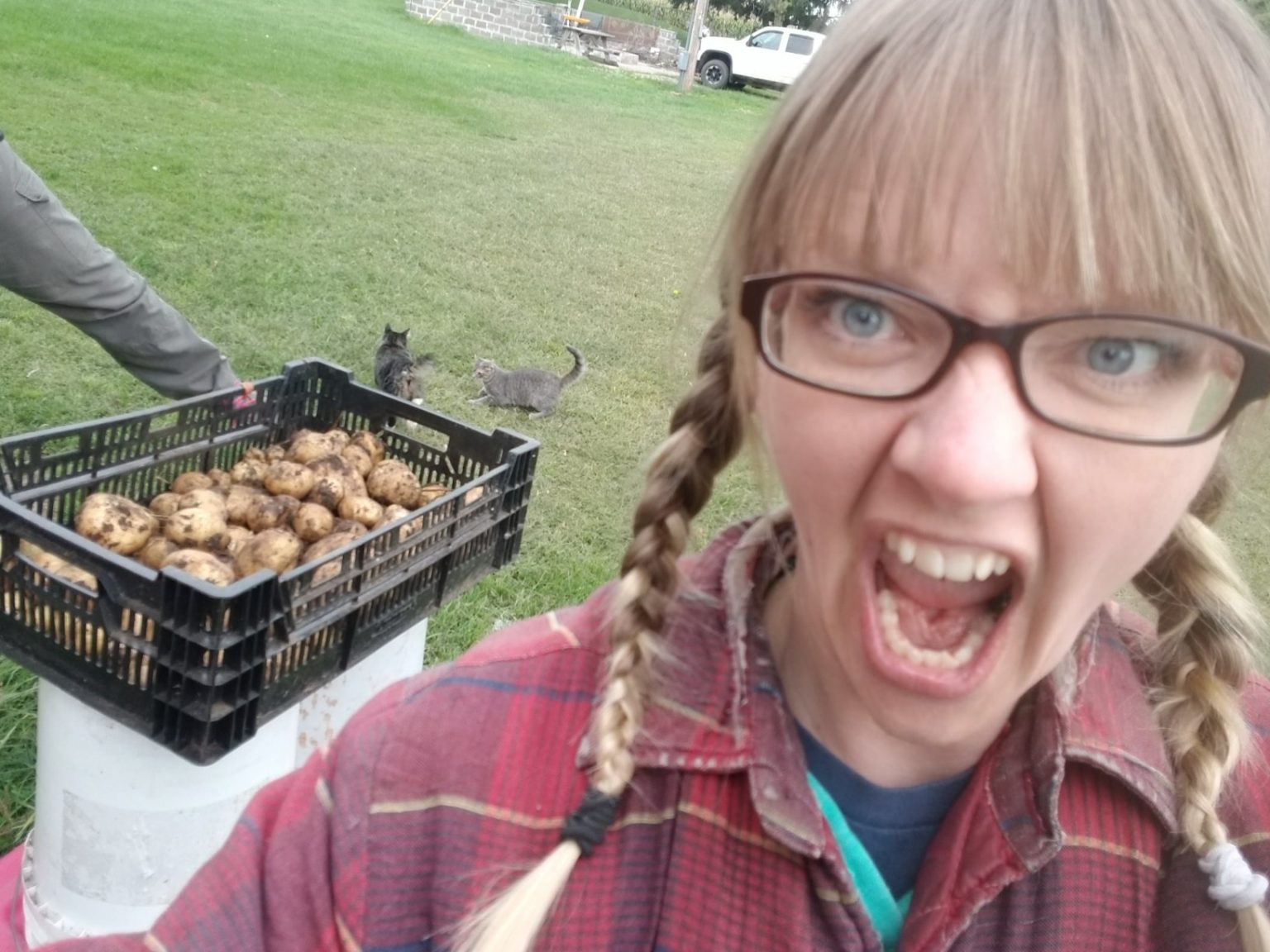 Growing potatoes in hay: Ruth Stout gardening - A Farmish Kind of Life